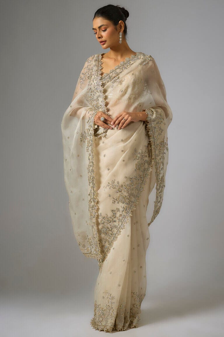Saree Colour Trends 2025: Stunning Shades To Look For!